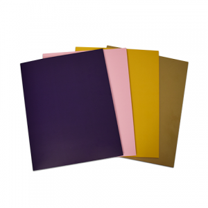 Mini Blank Folders (4 x 9) | TheFolderStore.com